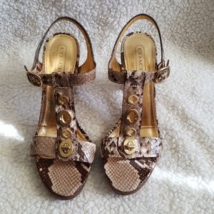 Coach | Shoes | Coach Lalo Python Print Leather Sandals Size 7 | Poshmark